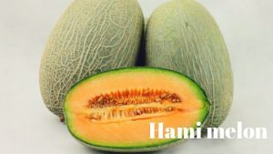 Different Types of Melon Varieties, Fact and How to Grow It - Natgeos