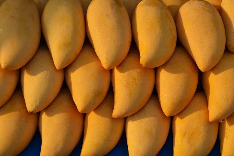 The Popular Types of Mangoes in The World - Natgeos