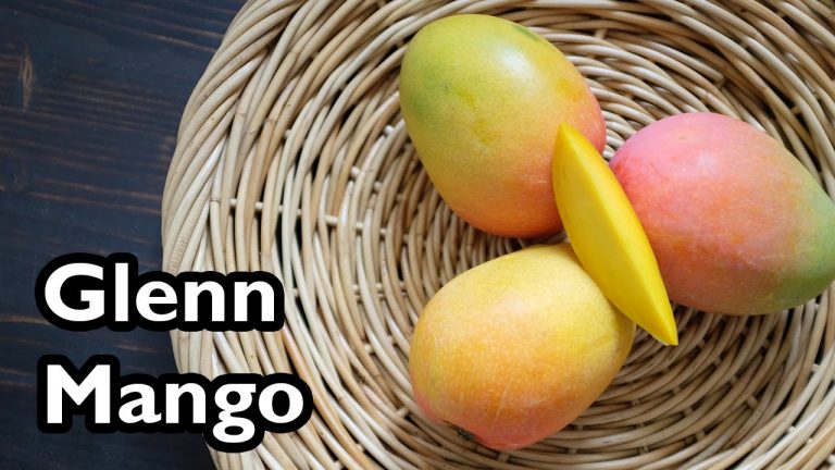 The Popular Types of Mangoes in The World - Natgeos