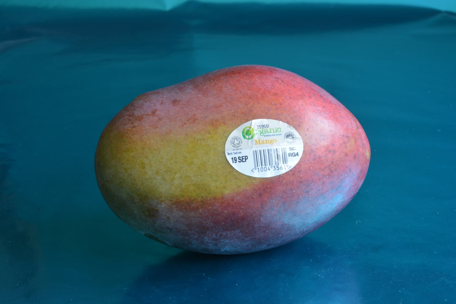 The Popular Types of Mangoes in The World - Natgeos