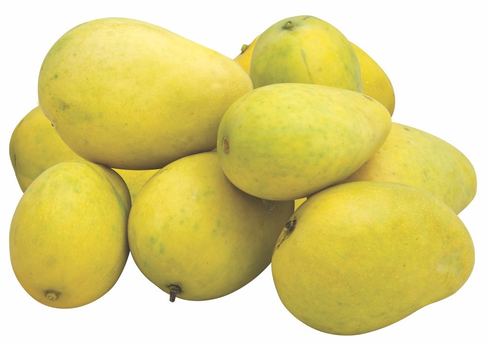 The Popular Types of Mangoes in The World - Natgeos