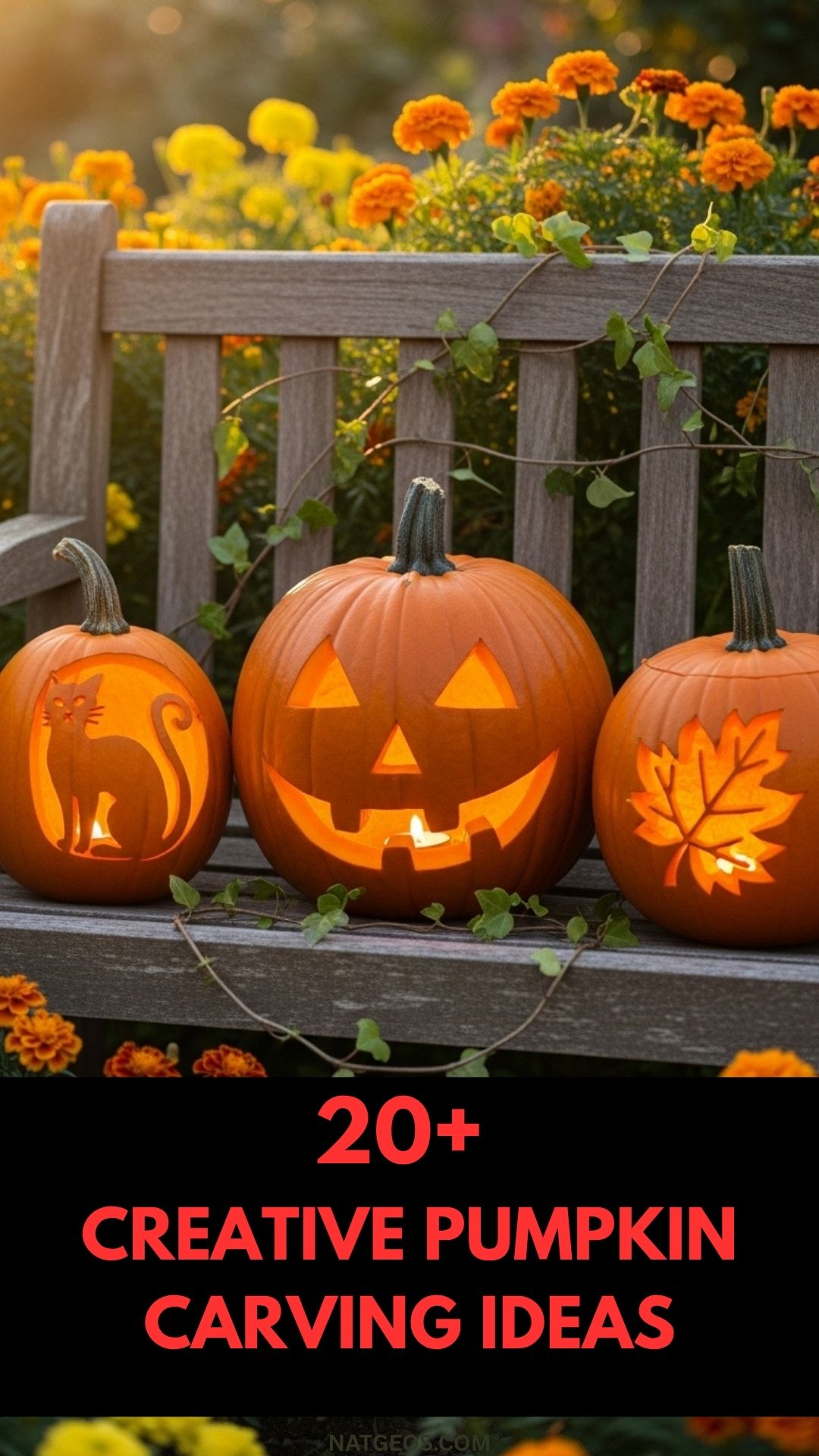 20 Creative Pumpkin Carving Ideas - Unique Designs for a Spooky ...